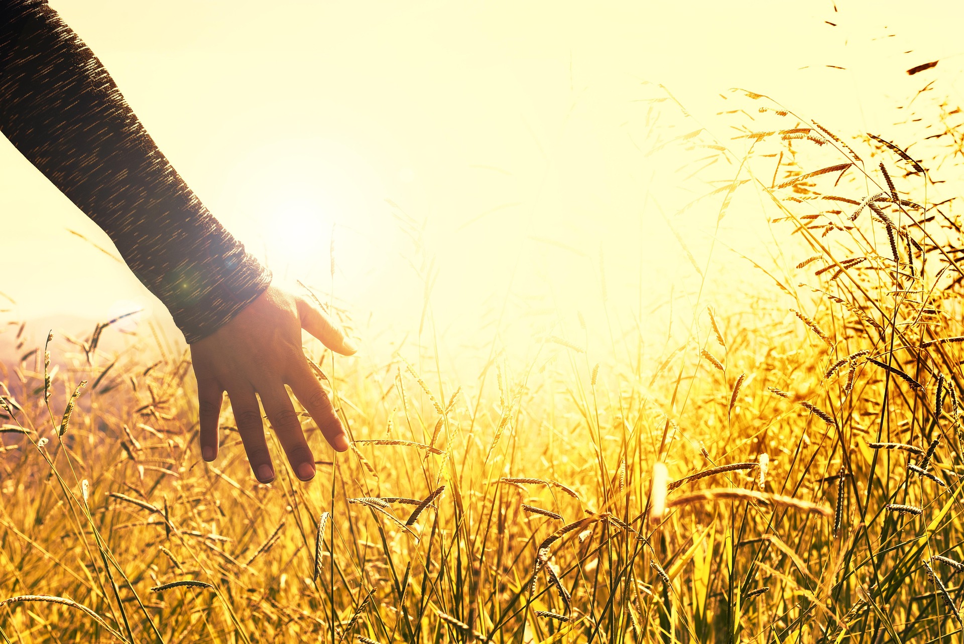 Embracing the Quiet Life: 11 Ways to Find Peace in Silence – So Just Be